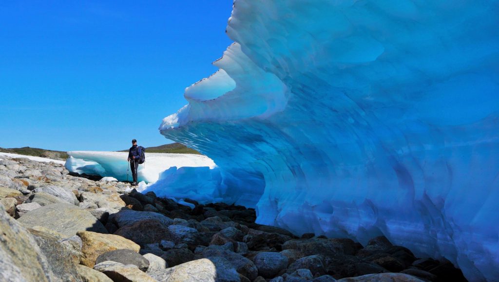 Top 5 things to see and do in Labrador - Wedge Hills Lodge